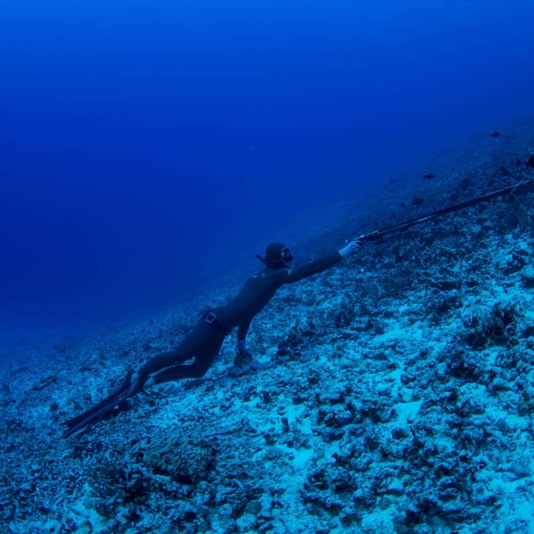 Basic Freediving Safety Program - WildVoice