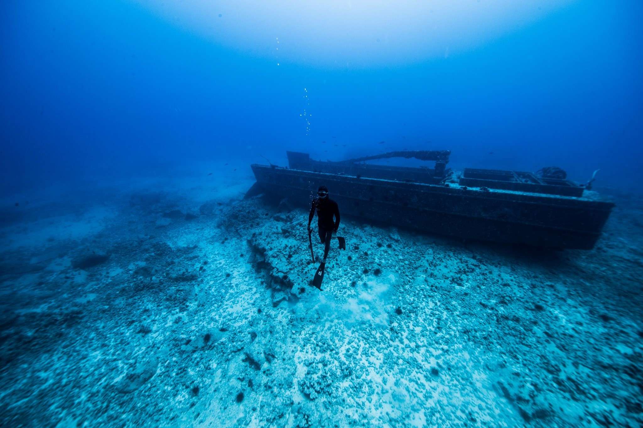 Basic Freediving Safety Program - WildVoice