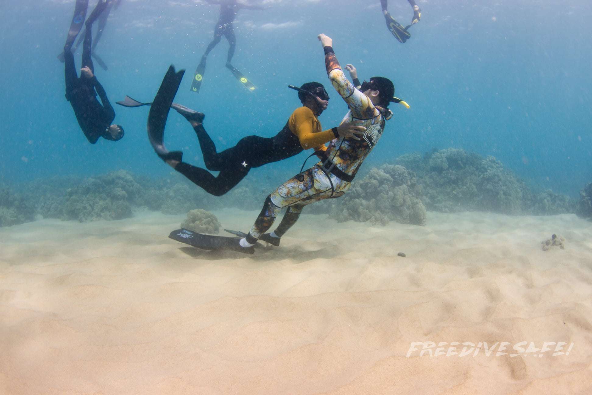 Basic Freediving Safety Program - WildVoice