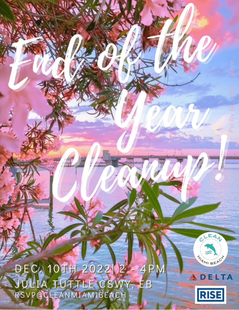 Clean Miami Beach |End of the Year Cleanup - WildVoice