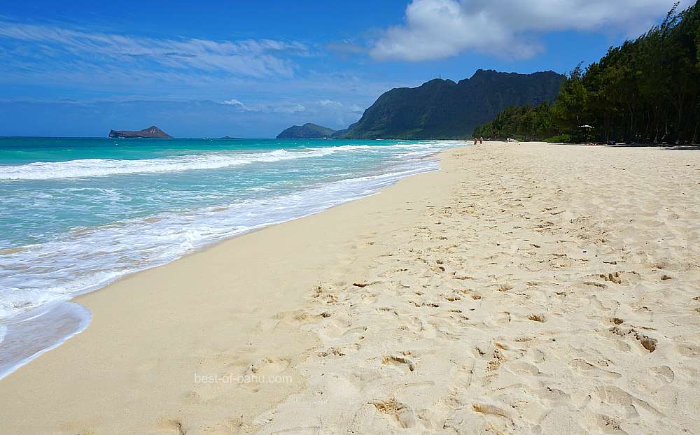 Hūnānāniho Beach Clean Up - WildVoice