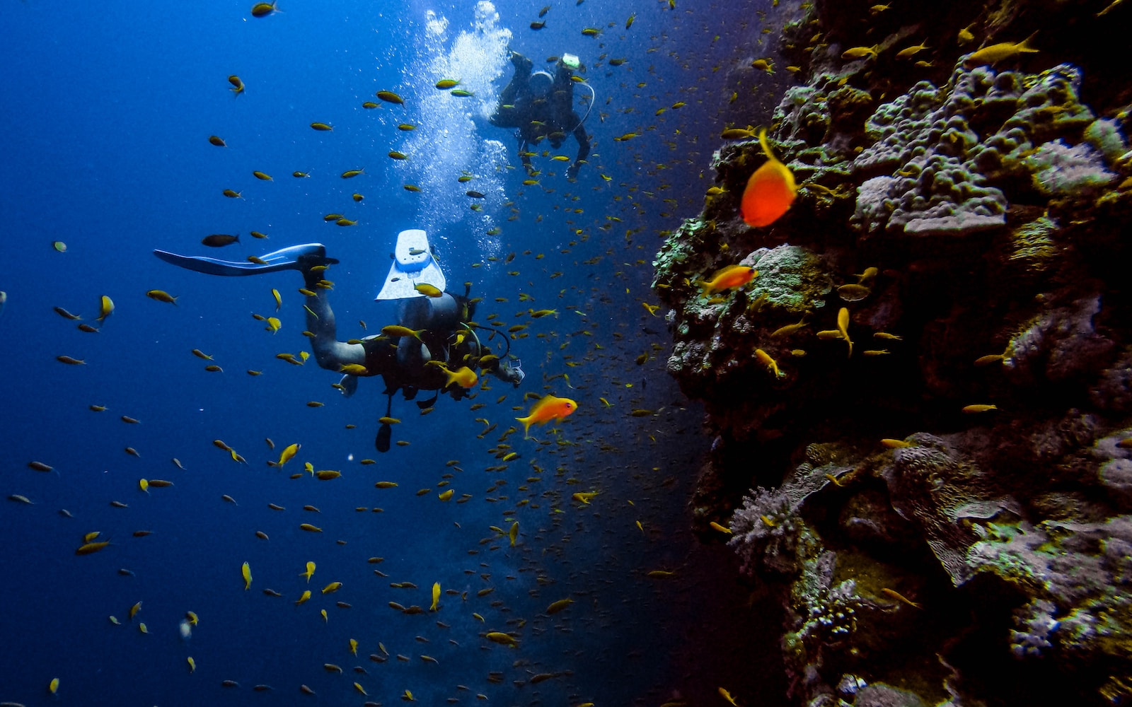 Molokini Crater: The Ultimate Visitor’s Guide
