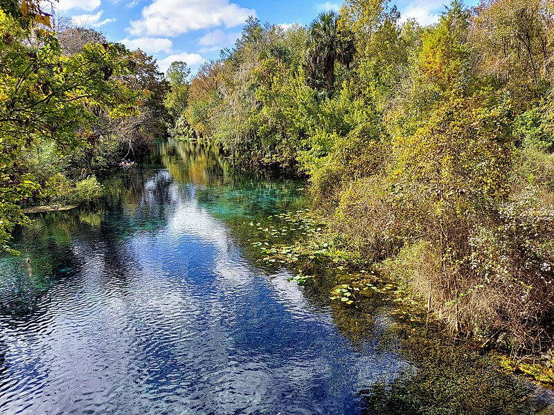 Kayaking in Florida: A Complete Guide to the Best Paddling Spots